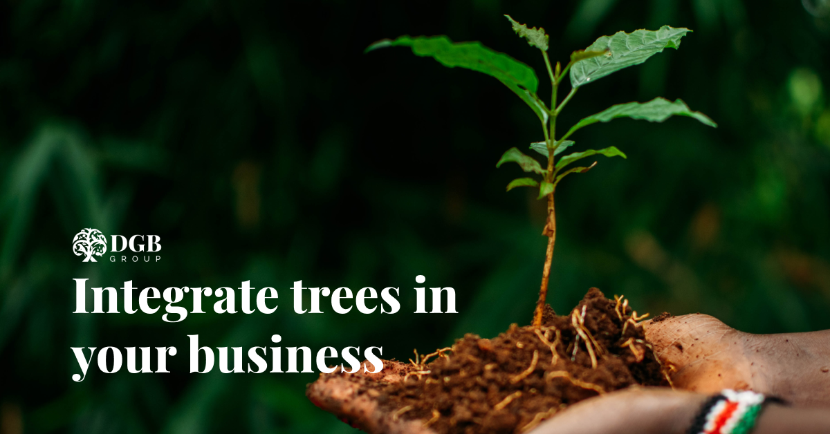 Green Earth | Integrate trees into your business brochure